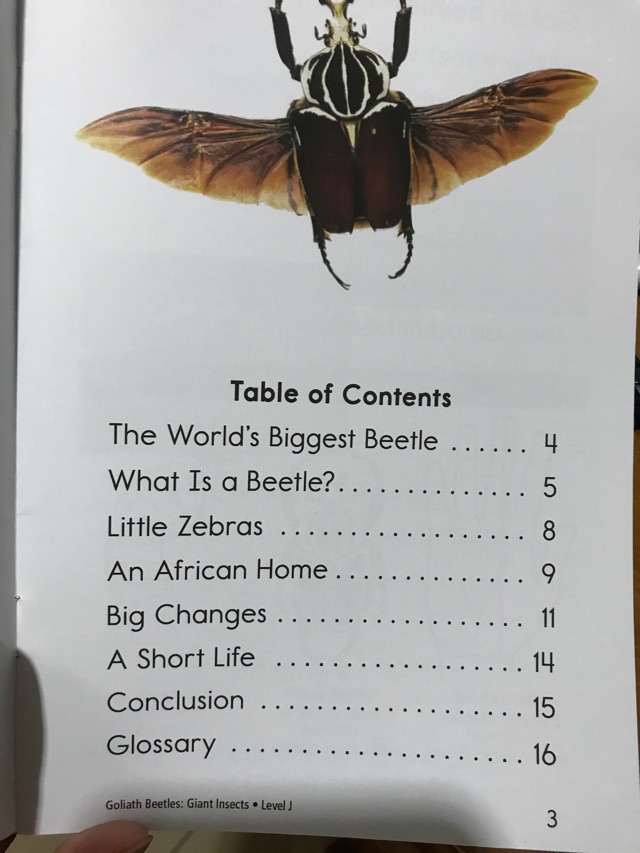 Goliath Beetles: Giant Insects (RAZ J) - 小花生