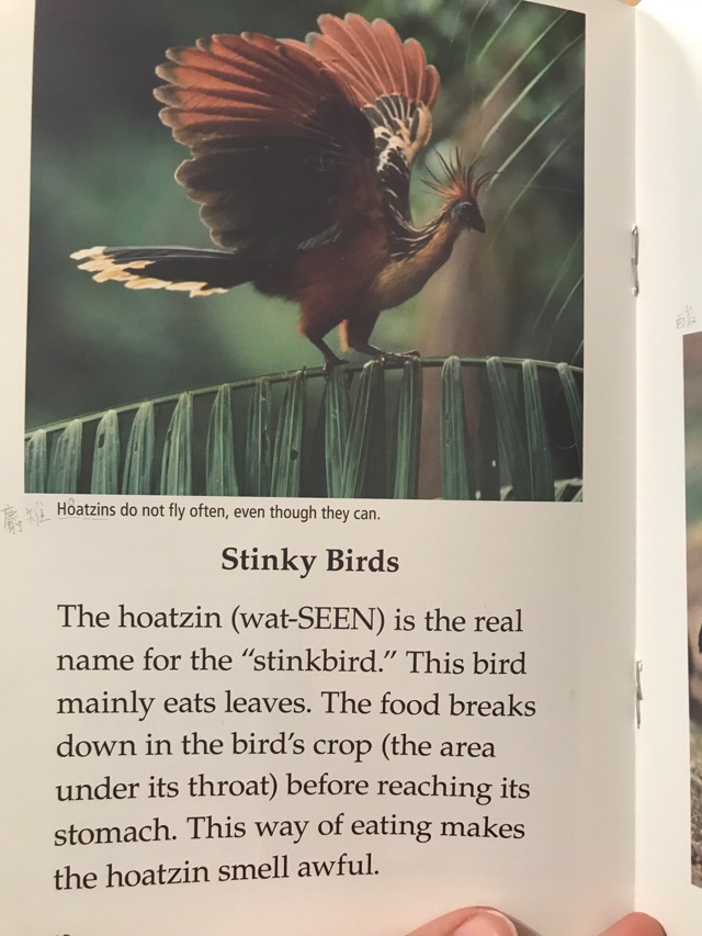 Nature Stinks! (RAZ N) - 小花生