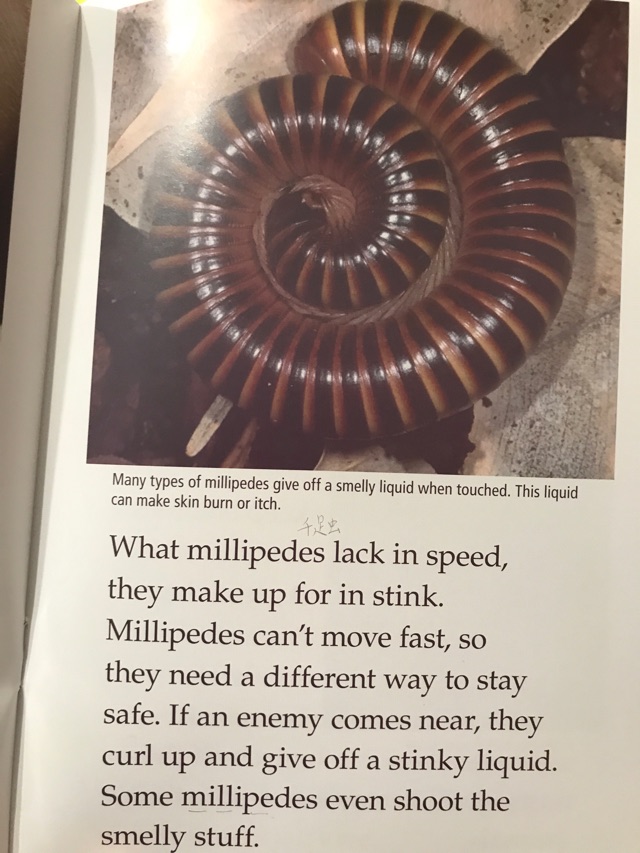 Nature Stinks! (RAZ N) - 小花生