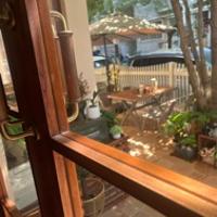 土狗老黑闯祸了 - 书评 - 小花生