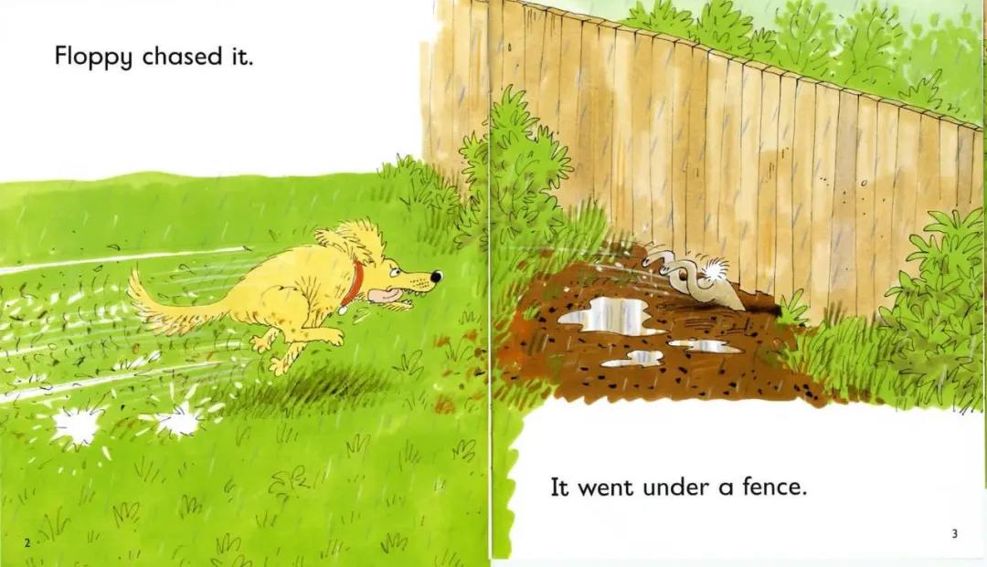 《牛津阅读树》英文版讲解 | 拓展阅读L2-7 Floppy’s Bath - 小花生