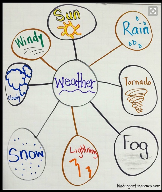 一本绘本的N种玩儿法Amelia Ellicott's Garden - 小花生