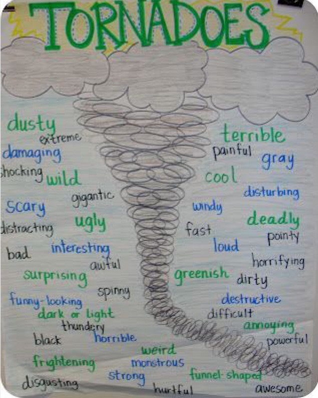 一本绘本的N种玩儿法Amelia Ellicott's Garden - 小花生